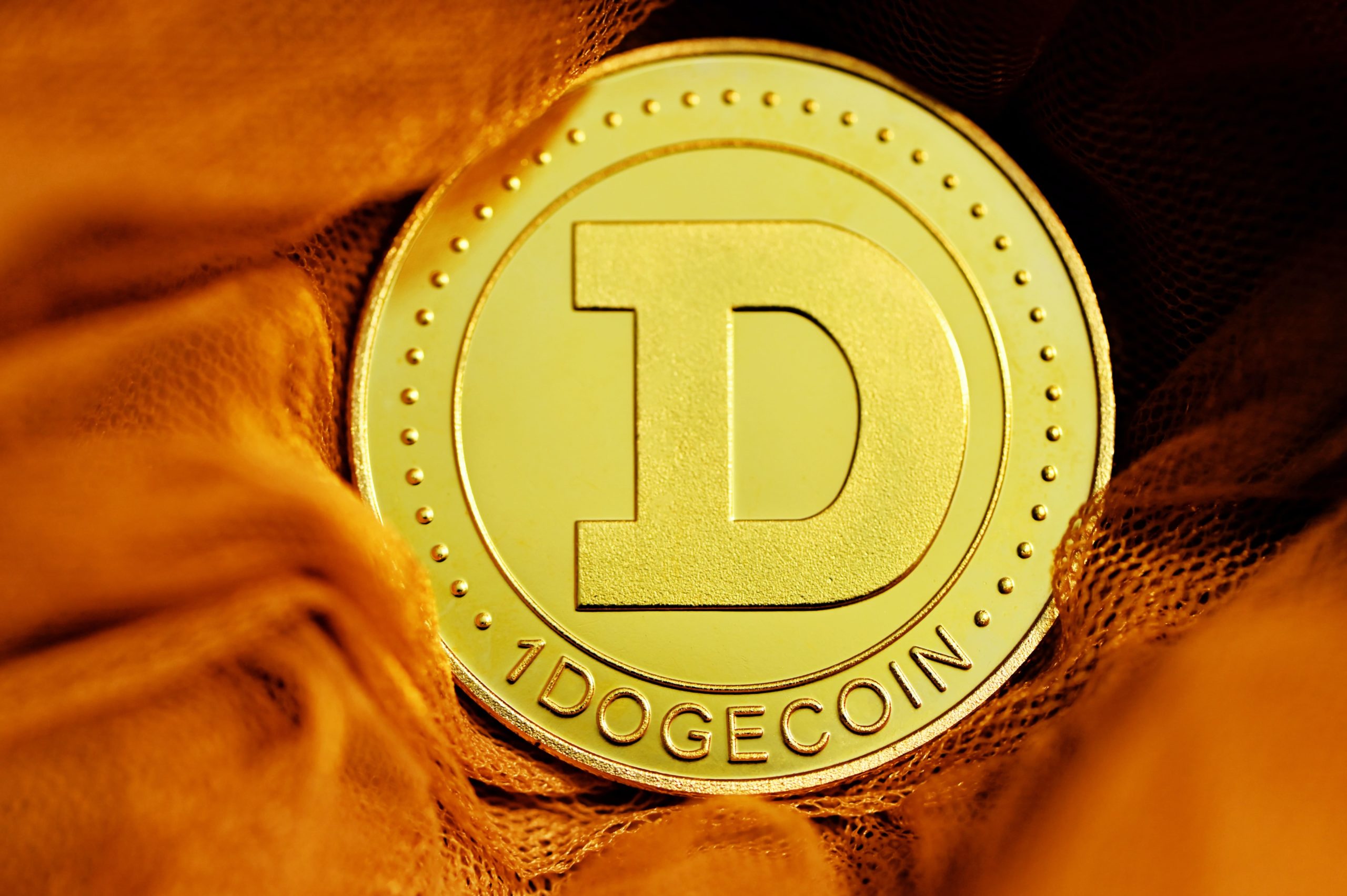 What is Dogecoin - NetChunk Blog